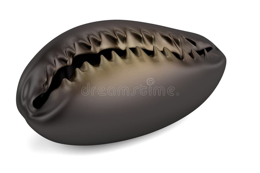 3d render of shell stock illustration. Illustration of render - 39095856