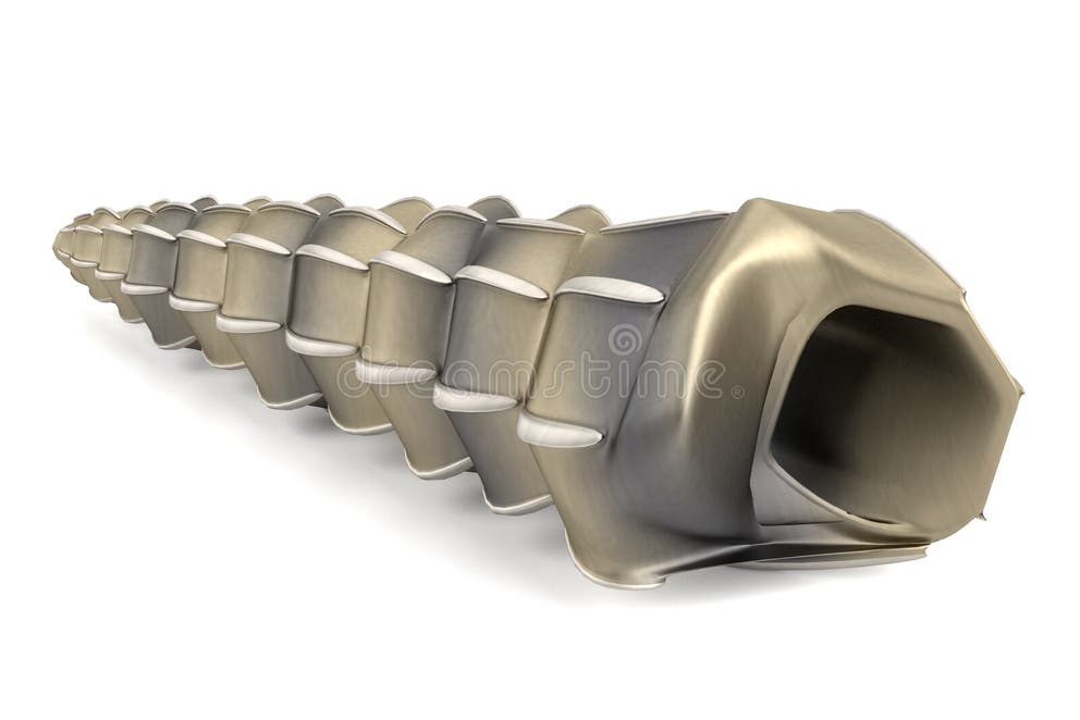 3d render of shell stock illustration. Illustration of ocean - 39549119