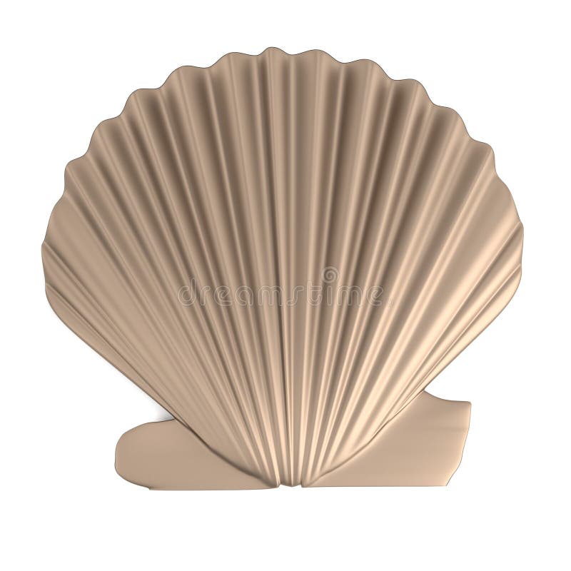 Scallop Seashell Vector. Realistic Sea Shell Close Up. Isolated on ...