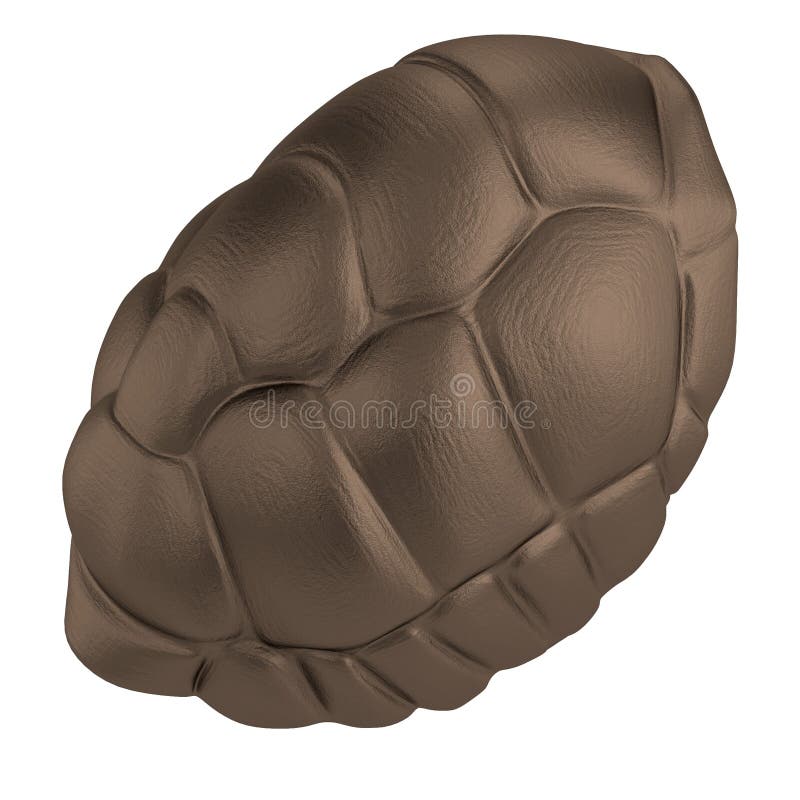3d Render Of Shell Of Turtle Stock Illustration - Illustration of shell ...