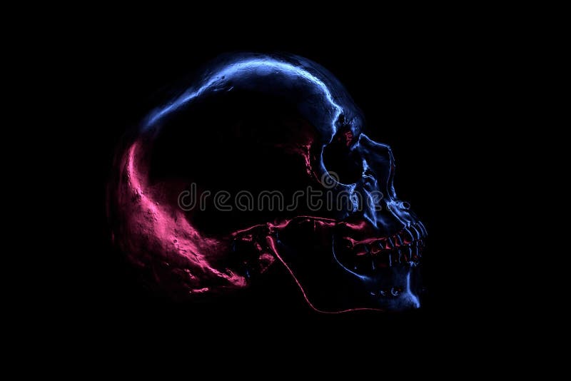 3D Render of Shiny Metallic Skull with Neon Reflection in the Dark ...