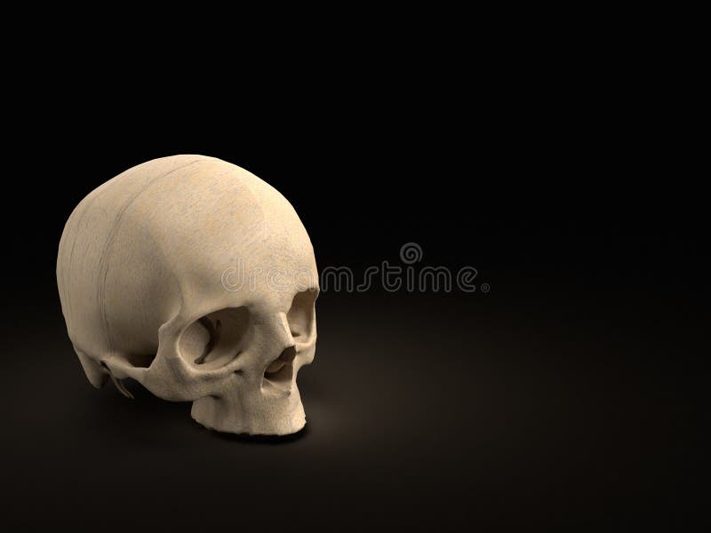3d Render of Side View of Upper Half of Human Skull on Black Background ...
