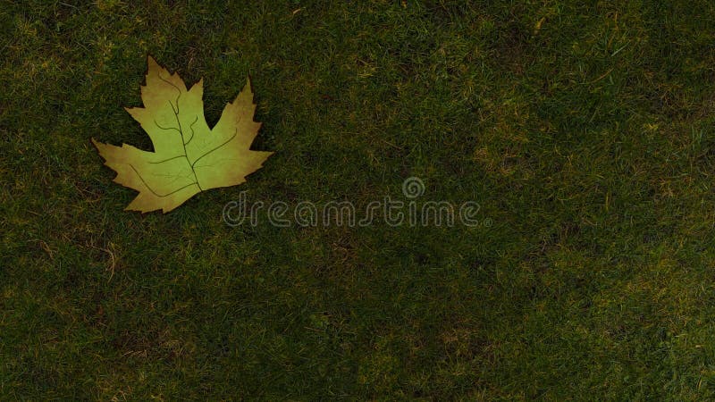 3d Render of Single Stylized Maple Leaf in Autumn Stock Illustration ...