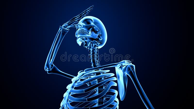 3d Render of Skeleton Poster Design Anatomy Frame Stock Illustration ...