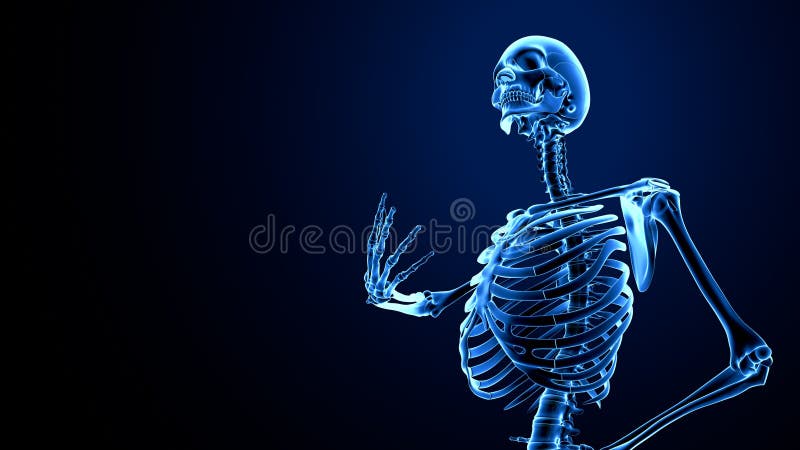 3d Render of Skeleton Poster Design Anatomy Frame Stock Illustration ...