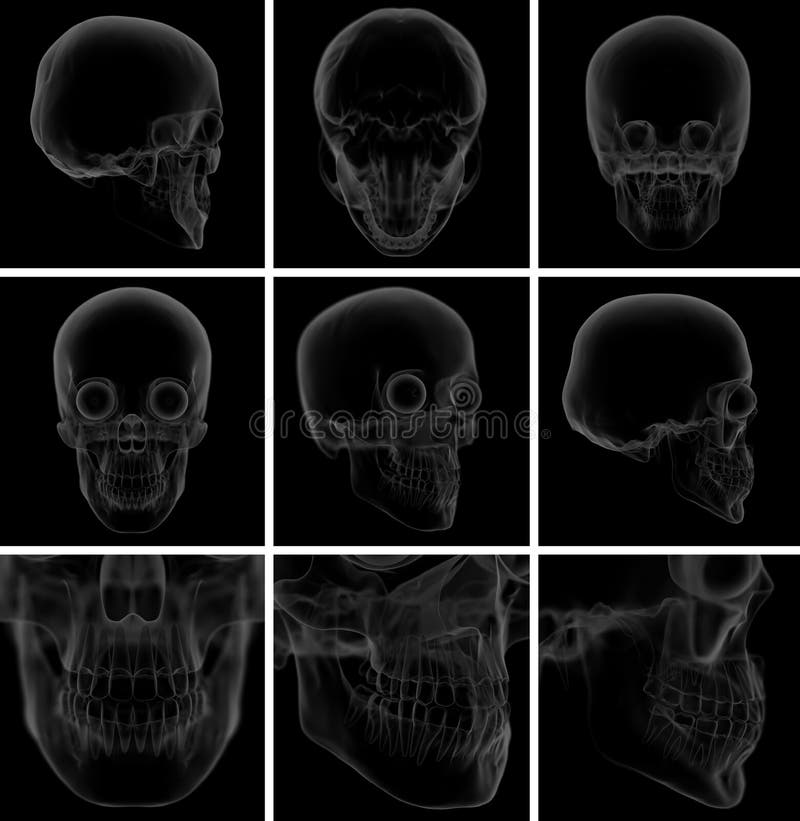 3d render skull gray shiny stock illustration. Illustration of bone ...