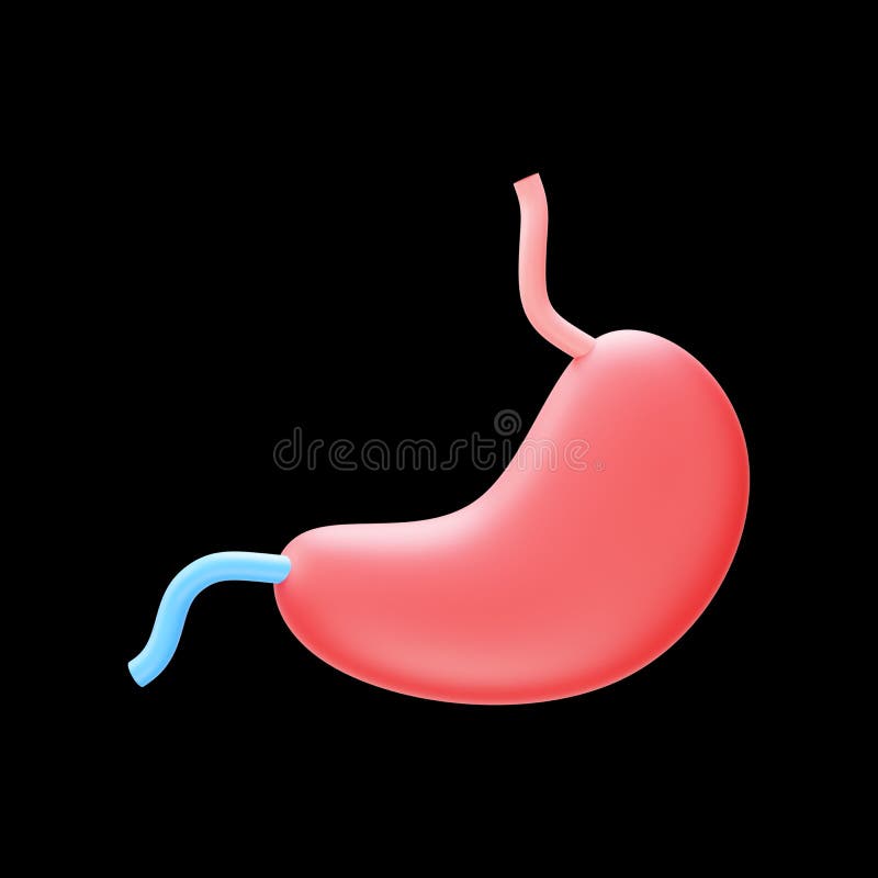 3D Render of Stomach Blue and Red Element Over Black Stock Illustration ...