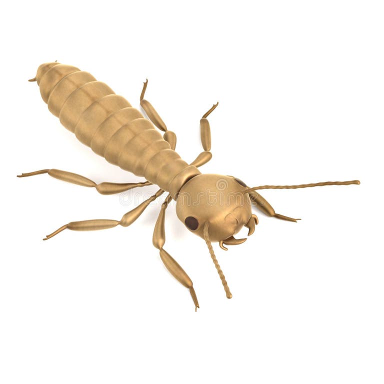 3d render of termite alate stock illustration. Illustration of render ...