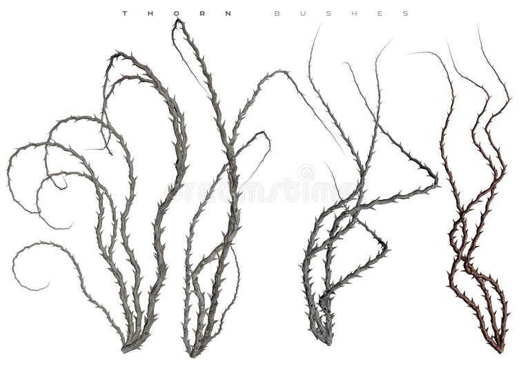 3D Render of Twisted Vines with Thorns Stock Image - Illustration of ...