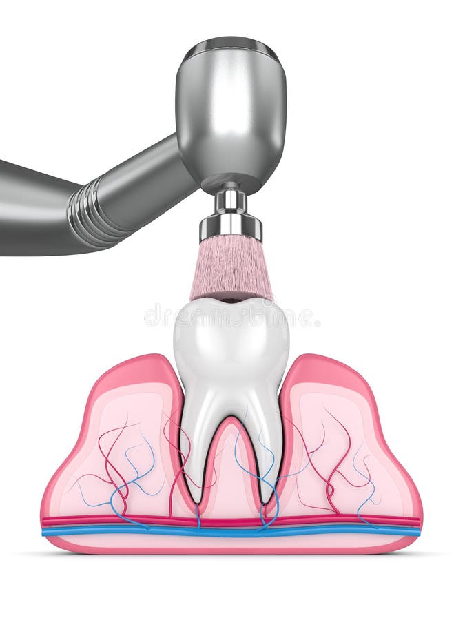 Polishing Stock Illustrations – 1,722 Polishing Stock Illustrations ...