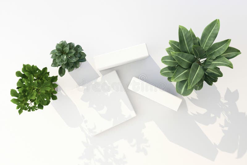 3D Render Top View of Tropical Plants Isolated Stock Illustration ...