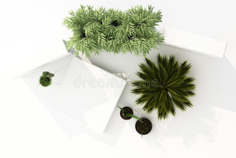 3d Rendering of a Realistic Green Top View Flower Bush Isolated Stock ...