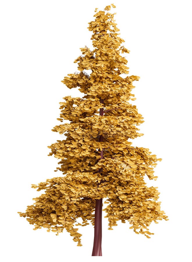 Yellow Crown Png Stock Illustrations – 88 Yellow Crown Png Stock ...