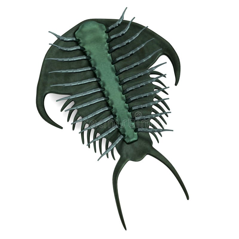 3d render of trilobite stock illustration. Illustration of insect ...