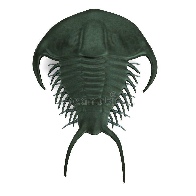 3D Render Of Trilobite Fossil Stock Illustration - Illustration of ...