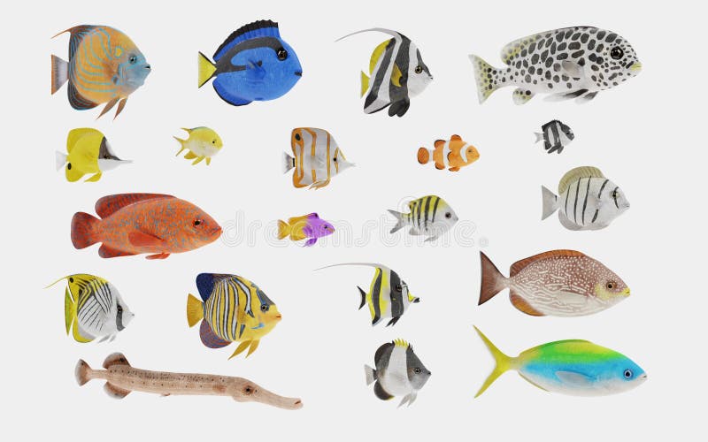 3D Render of Tropical Fish Collection Stock Illustration - Illustration ...