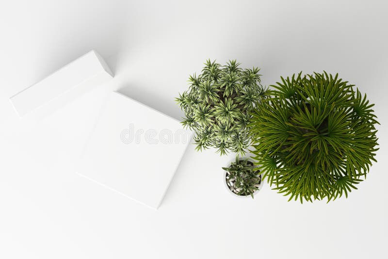 3D Render Top View of Tropical Plants Isolated Stock Illustration ...