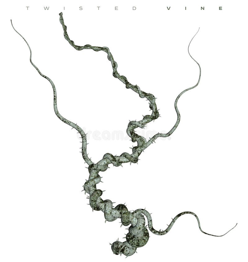3D Render of Twisted Vines on White Stock Illustration - Illustration ...