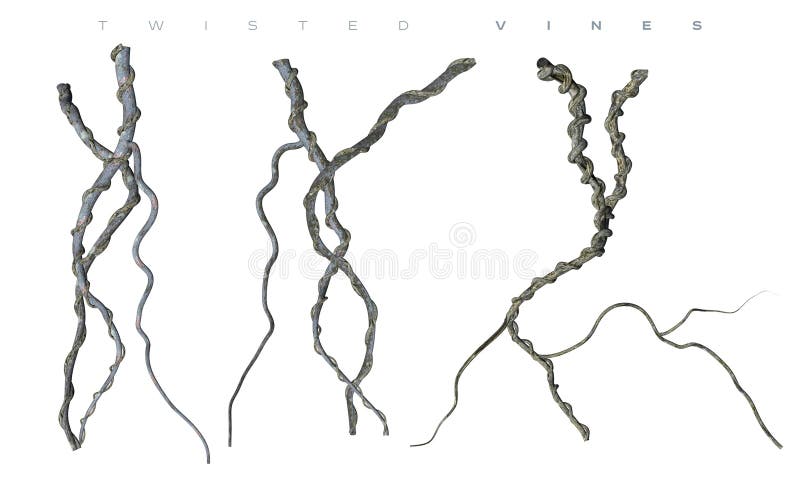 Twisted Vines and Thorn Bushes Stock Illustration - Illustration of ...