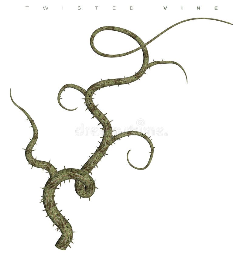 Vine Stock Illustrations – 162,745 Vine Stock Illustrations, Vectors ...