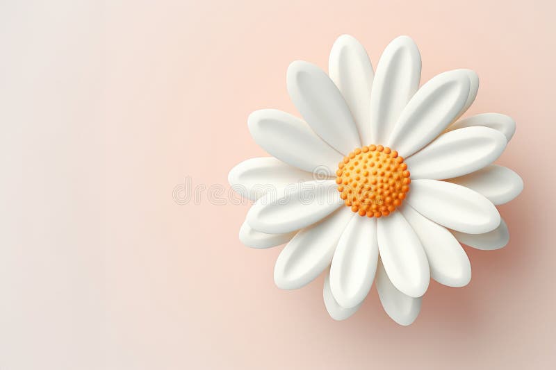 3d Render of White Daisy Flower on White Copy Spcae Background Stock ...
