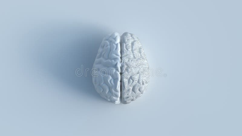 Shattered Human Brain. Stress Concept. Isolated Stock Illustration ...