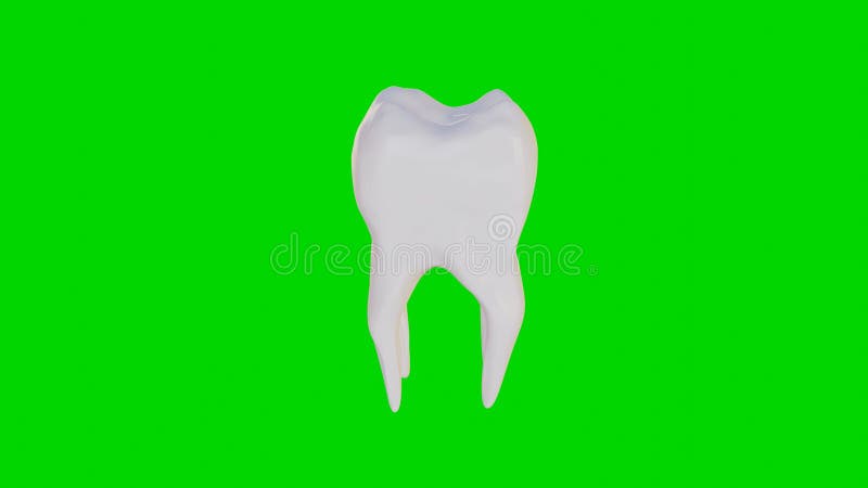 3d Render of a White Tooth Rotating on a Green Screen Stock Video ...