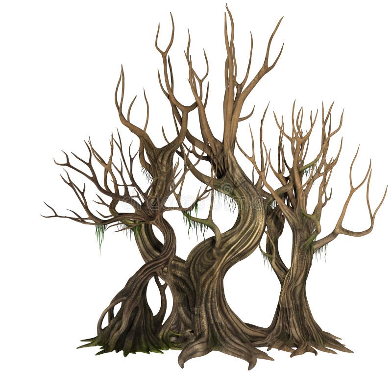 Group of gnarled trees stock image. Illustration of graphics - 338434713