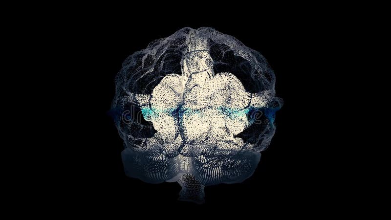 3d Render Xray Style Image of Human Brain Rotating. Human Brain Being ...