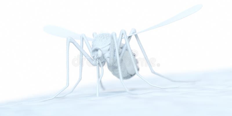 A mosquito stock illustration. Illustration of macro - 169378037