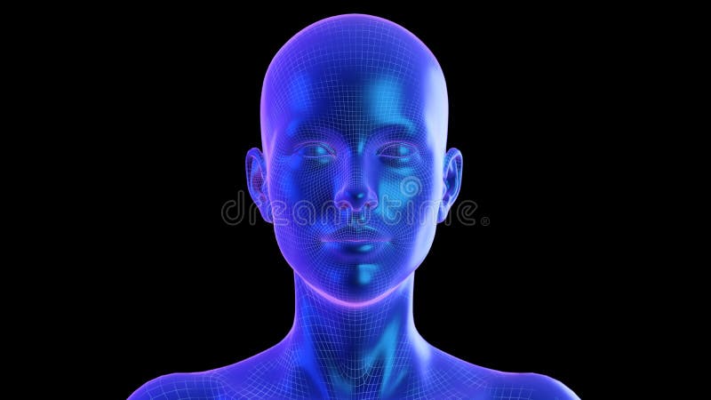 A female wireframe head stock illustration. Illustration of female ...