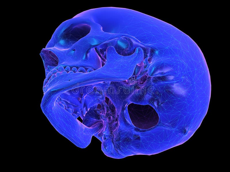 Skull Perspective Stock Illustrations – 191 Skull Perspective Stock ...