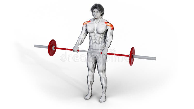 3d Rendered Animation of a Man Doing Front Raise Barbell Exercise for ...