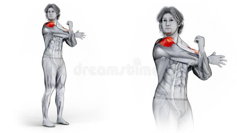 3d Rendered Animation of a Man Doing Warm-up Exercise for Shoulders ...