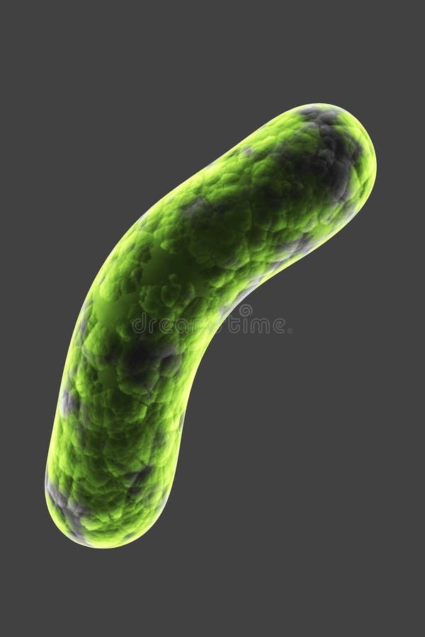 3d rendered BACTERIA CELLS stock illustration. Illustration of biology ...