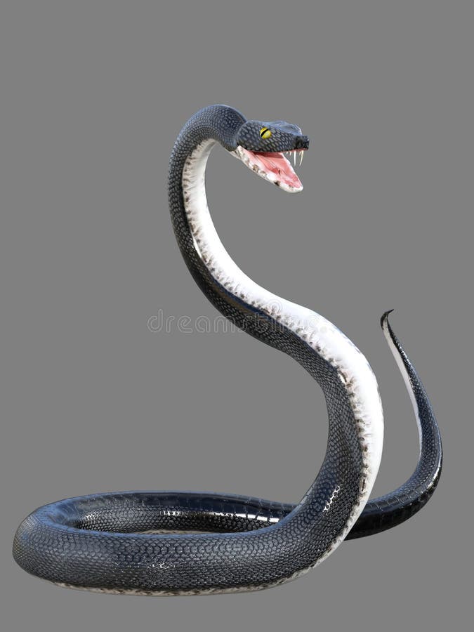 Snake Fangs Stock Illustrations – 2,112 Snake Fangs Stock Illustrations ...