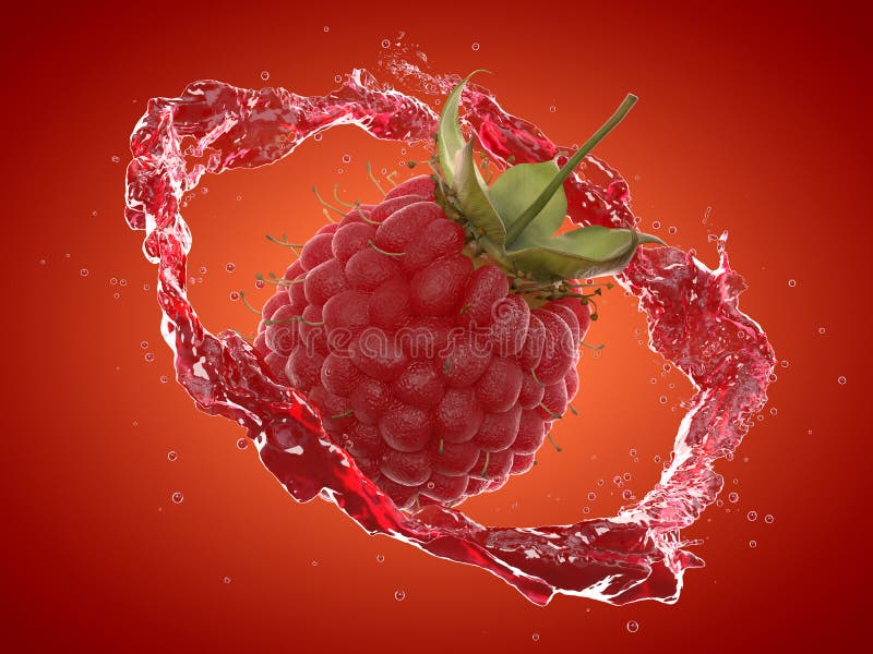 Raspberry splash stock vector. Illustration of reflection - 31949245