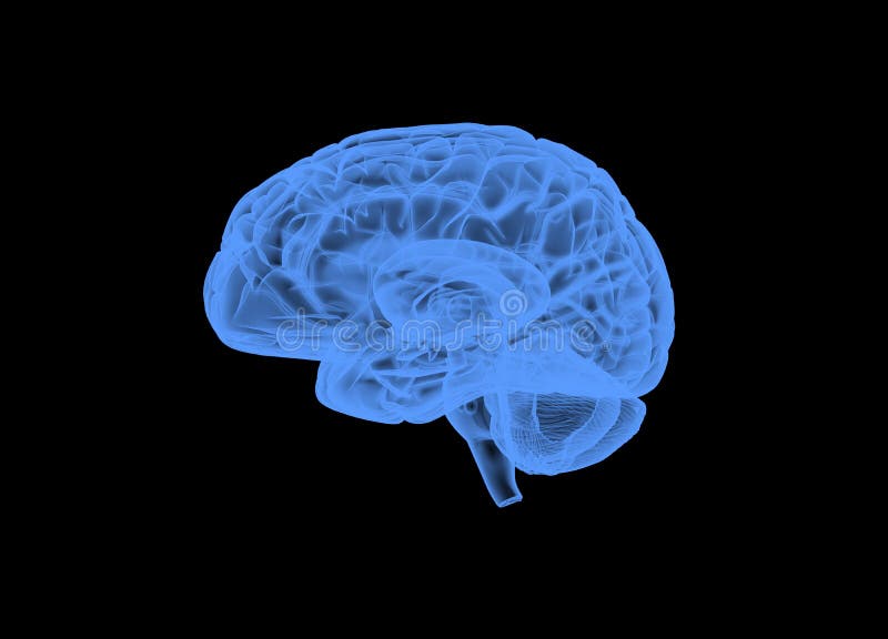 3D Rendered Hologram Image of Human Brain Side View Stock Illustration ...
