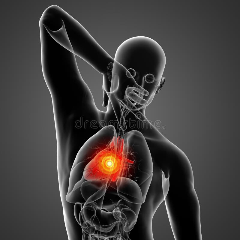 3d Rendered of the Human Heart Stock Illustration - Illustration of ...