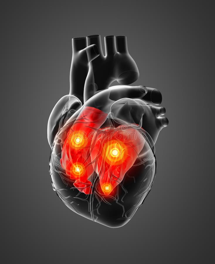 3d Rendered of the Human Heart Stock Illustration - Illustration of ...