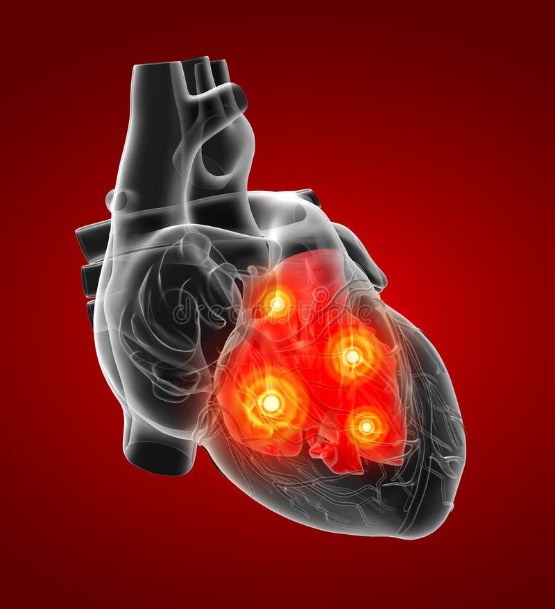 3d Rendered of the Human Heart Stock Illustration - Illustration of ...
