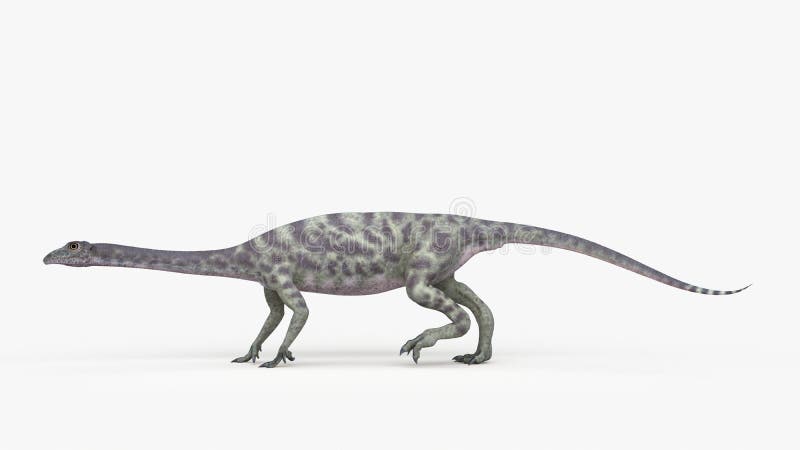 Anchisaurus Dinosaur -3D Render Stock Illustration - Illustration of ...