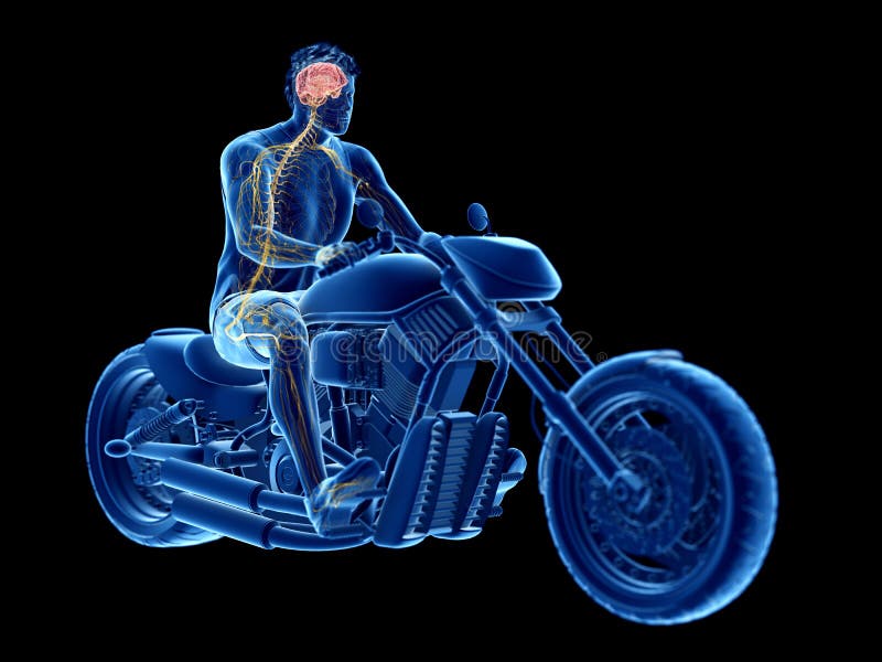Brain Motorcycle Stock Illustrations – 213 Brain Motorcycle Stock ...