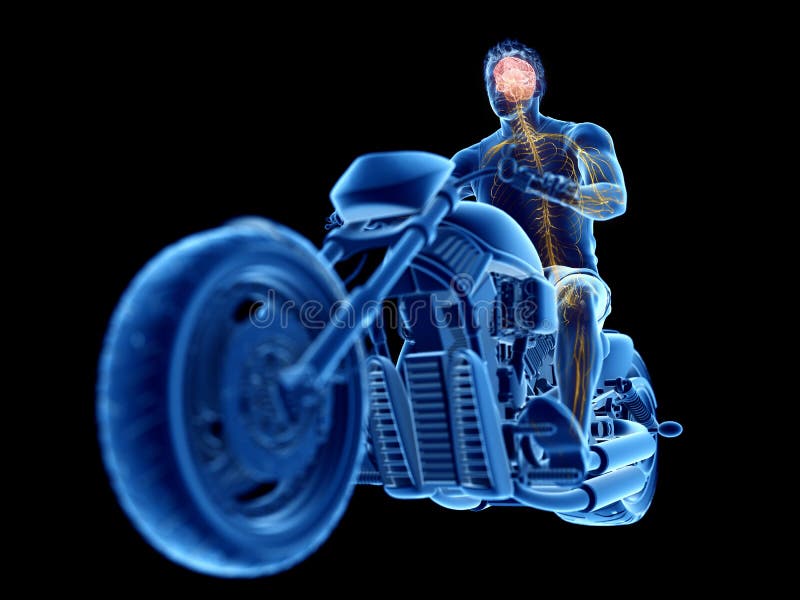 Brain Motorcycle Stock Illustrations – 216 Brain Motorcycle Stock ...