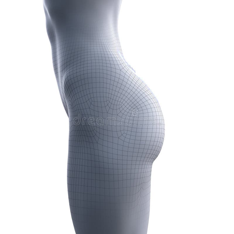 A female bottom stock illustration. Illustration of female - 133377690