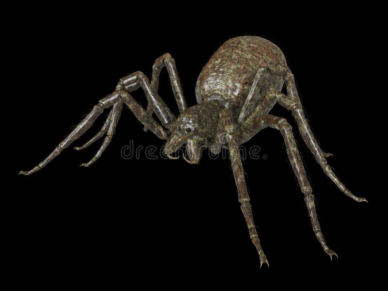 A giant spider stock illustration. Illustration of menacing - 127839303