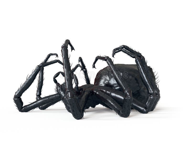 Giant Spider stock illustration. Illustration of fantasy - 16926676