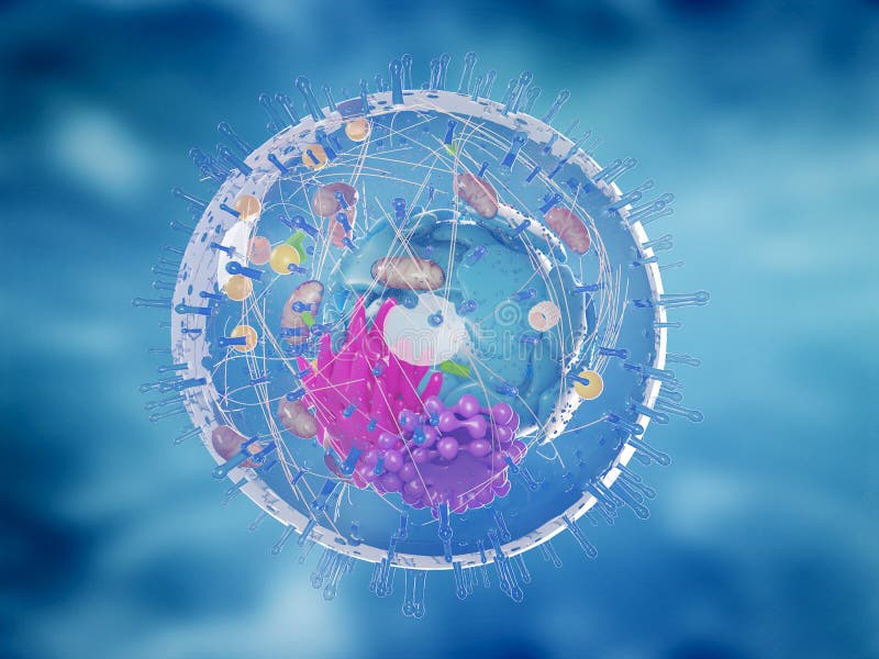 A healthy human cell stock illustration. Illustration of anatomy ...