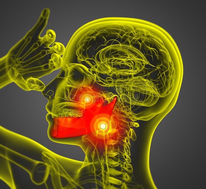 3d Rendered Illustration - Jaw Bone Stock Illustration - Illustration ...