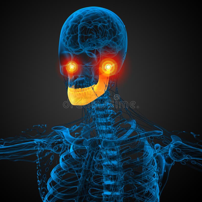 3d Rendered Illustration - Jaw Bone Stock Illustration - Illustration ...